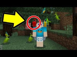 Como domesticar papagaio em minecraft