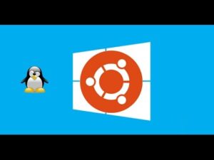 Como instalar e usar o shell bash do linux no windows 10
