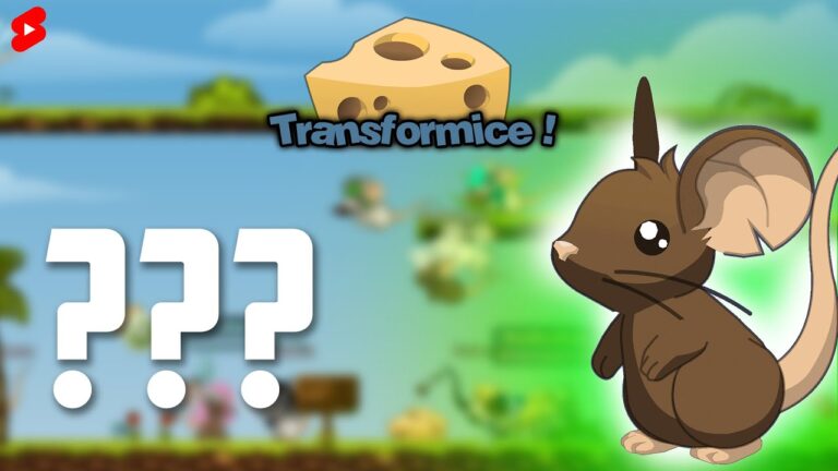 Como jogar transformice